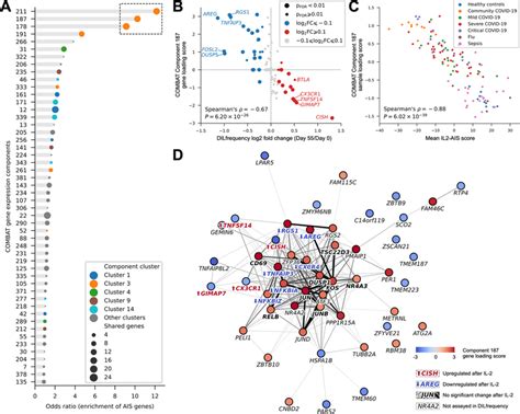 Nf Kb Is Associated With The Regulation Of The Transcriptional