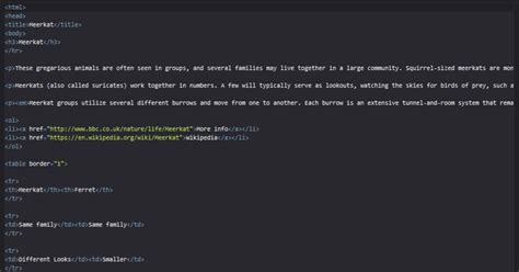 Rohail Siddiqi Web Project P1 How HTML Files Access CSS