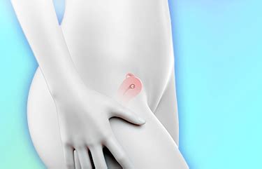 Weeks Pregnant Pregnancy Week By Week What To Expect