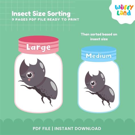 Insect Size Sorting Game Sort By Size Worksheet Size Sorting Game Learning Binder Activity