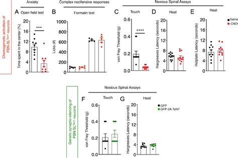 Figures And Data In A Spinoparabrachial Circuit Defined By Tacr1