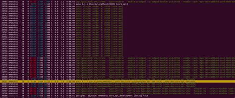 Puma Dev Creates Another Socket And Ignores Rails Server Stack Overflow