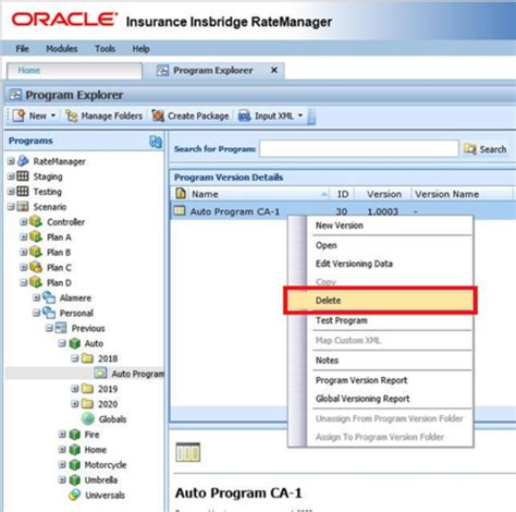 Removing A Program Version