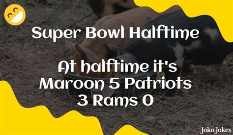 35 Rams Jokes And Funny Puns Jokojokes