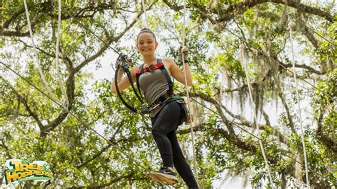 Tree Hoppers Overview Giveaway Momma4life