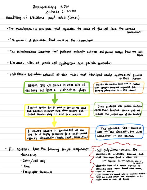 Biopsychology 2710 Lecture 2 Notes Biopsychology 2710 Lecture 2 Notes