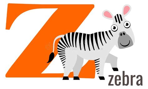 Zebra Print Z Stock Illustrations 196 Zebra Print Z Stock