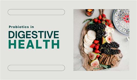 The Role Of Probiotics In Digestive Health Aerns