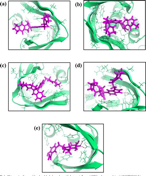 Figure 1 From Investigating Pb2 Cap Binding Domain Inhibitors From