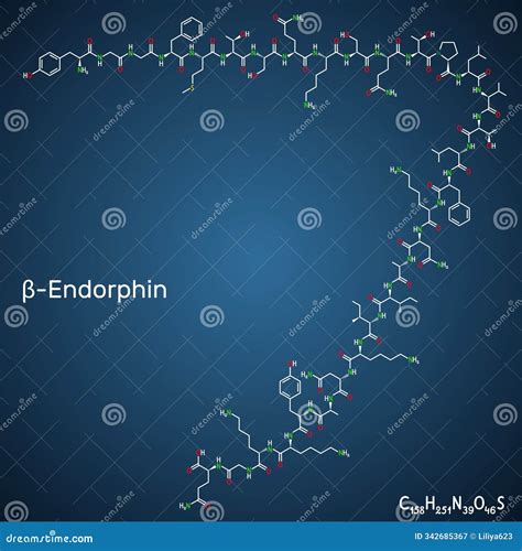 Beta Endorphin Molecule Peptide Hormone Skeletal Chemical Formula