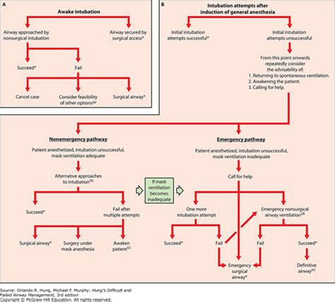 The Algorithms Anesthesia Key