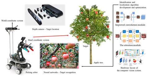Real Time Recognition And Localization Of Apples For Robotic Picking Based On Structural Light