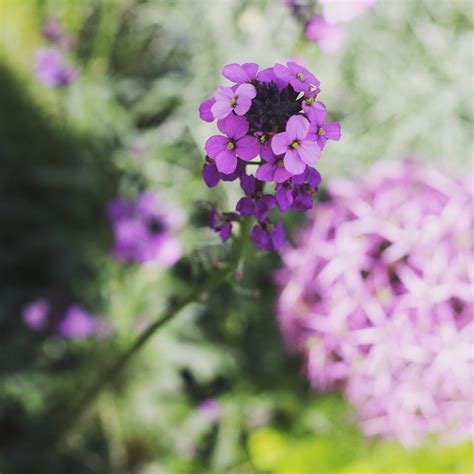 The Illustrious Andrew Mcindoe Learning With Experts Staging