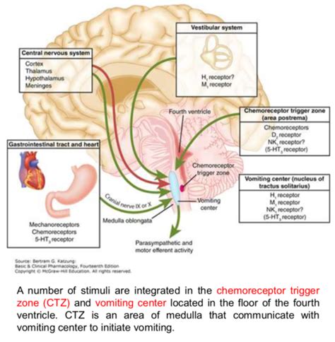 Antiemetics Flashcards Quizlet