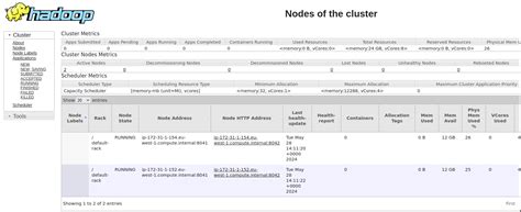 YARN Node Resilience With External Health Scripts AWS Open Data Analytics