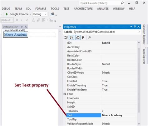 Label Control In ASP Net With An Example