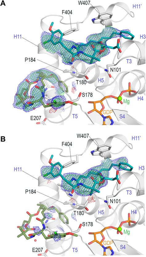 Bridging The Maytansine And Vinca Sites Cryptophycins Target β Tubulin