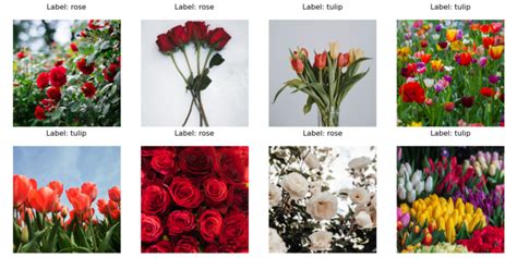 Cutout Mixup And Cutmix Implementing Modern Image Augmentations In