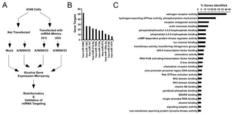 A A549 Cells Were Mock Infected Infected With A Wsn 33 5 Pfu Cell