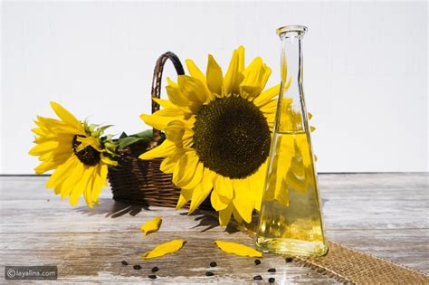 زيت دوار الشمس للبشرة فوائده وطريقة استخدامه ليالينا