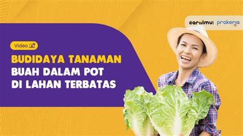 Kelas Budidaya Tanaman Buah Dalam Pot Di Lahan Terbatas Di Cariilmu Bukalapak