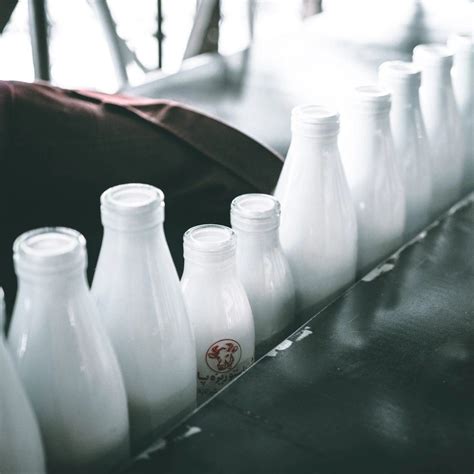 Madiha Ahmed On Linkedin Dairysafety Pasteurization Foodscience