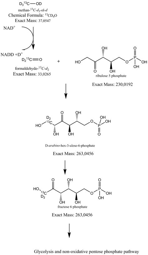 Teamaachennotebookdocumentationmethanol Labeling Experiment 2015