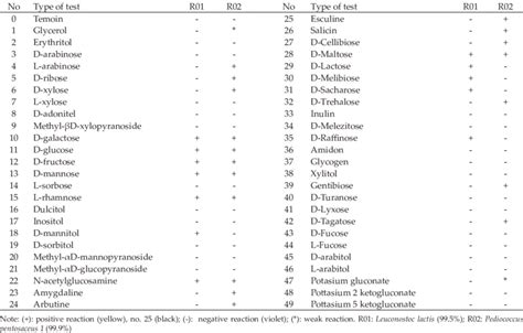 Identification Of Lab Isolates Using Api 50 Chl Kit Download Table