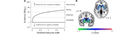 Control And Exploratory Analyses A Robustness Check For The Bayesian