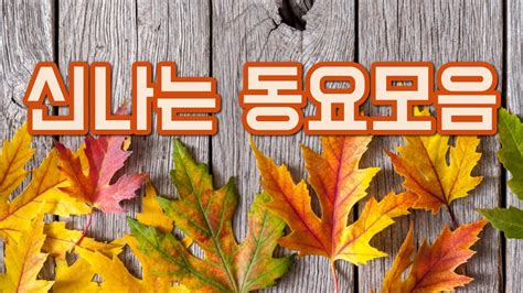 신나는 동요모음😍 가을이 오면 가을 분위기 동요 들으며🍭 즐거운 하루 보내요🎁 유치원 동요ㅣ누리과정 동요ㅣ인기동요ㅣ최신동요ㅣ신나는 동요ㅣ귀여운 노래 Youtube