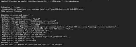 How To Deploy Mtar Application Via Cli To Hana On Sap Community