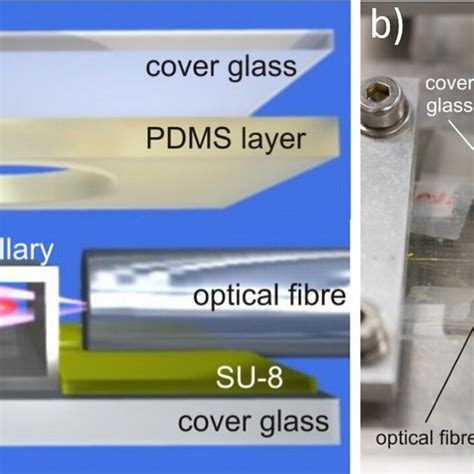 Principle Of An Optical Stretcher Two Counter Propagating Nir Laser