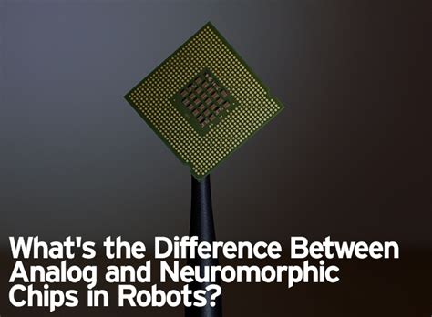 Whats The Difference Between Analog And Neuromorphic Chips In Robots
