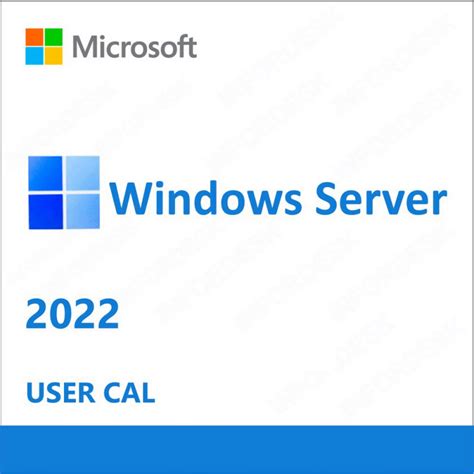 Microsoft Windows Server 2022 User CAL 10 Utilisateurs Au Meilleur