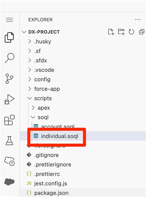 Exercise 11 Optional Access Data Cloud With Soql Salesforce Developers