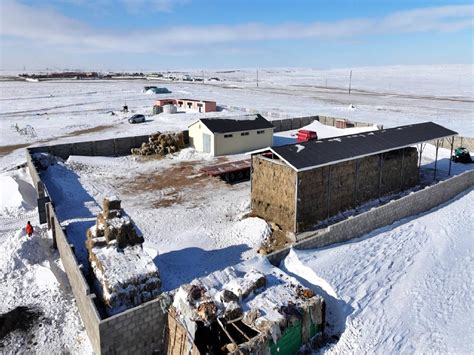 Малчид 20 100 толгой мал худалдах захиалгаа хөдөө аж ахуйн биржэд өгөөд байна