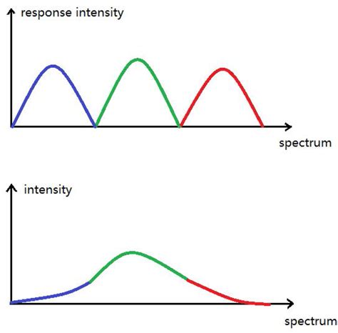 Typical Spectral Response Functions And A Spectrum Download