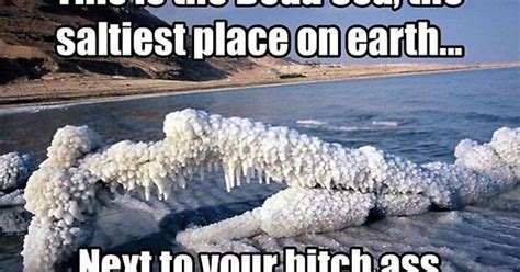 Salt Album On Imgur