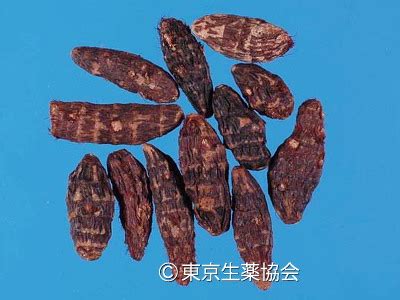コウブシ新常用和漢薬集 公益社団法人東京生薬協会