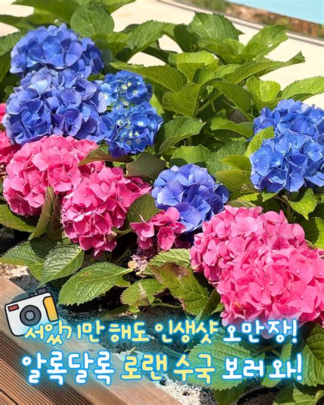 로봇랜드 우주항공로봇관에 로숭이가 다녀왔숭🐵🛰️ 우주항공로봇관에선 대형 돔 스크린에서 나오는 Cg영상으로 리얼하게 우주