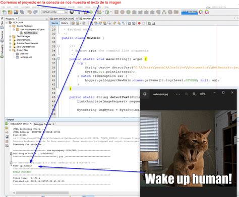 Programador Novato