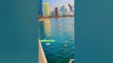 মুখে হাসি লইয়া আছি Viralvideo Uaelife Viralvideo Youtube