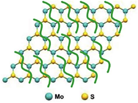 Chitosan Molybdenum Disulfide Nanosheet Download Scientific Diagram