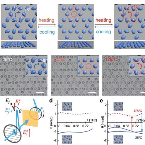 Reversible Shape Transformation Of Microparticles A Bright‐field Download Scientific Diagram