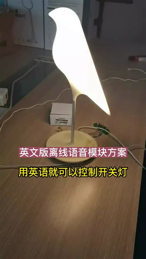 轻语音 离线语音模块智能照明小夜灯声控模块 语音识别芯片开发板 阿里巴巴