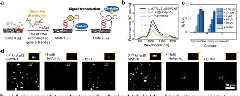 Figure 1 From Rational Design Of Carbon Nanotube Biosensors With Covalent Dna Anchors Semantic