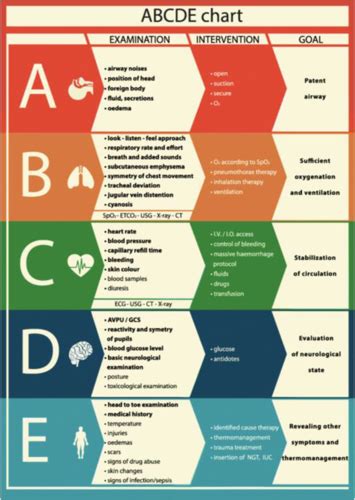 Prioritization Flashcards Quizlet
