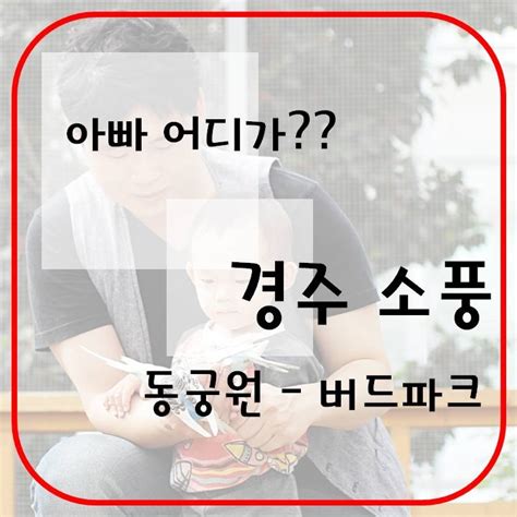 새와 아이가 공감할 수 있는 곳 경주 동궁원 버드파크 네이버 블로그