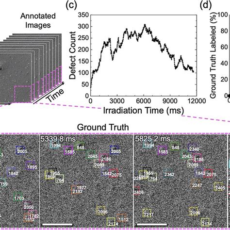 An Overview Of The Ground Truth Annotation Defect Count Download Scientific Diagram