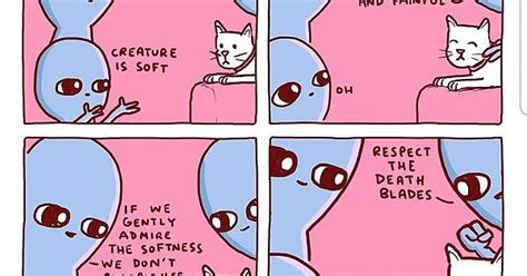 Nods Sagely Album On Imgur